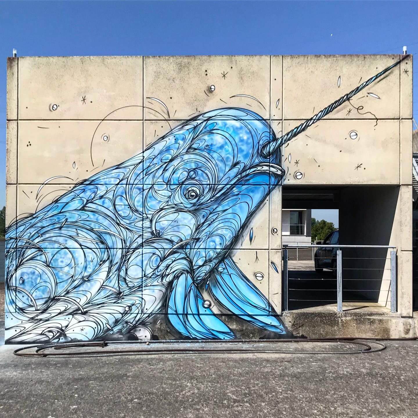 Our Favourite Street Art Animals - Artsper Magazine