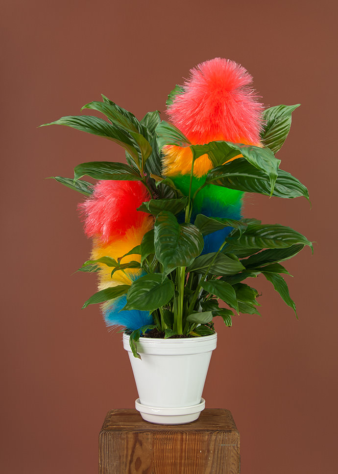 How Contemporary Artists Are Making Still Life Art Cool Again - Artsper ...