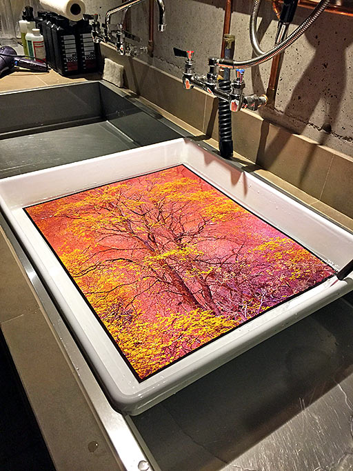 PHOTOGRAPH: TECHNIQUES AND PROCESSES